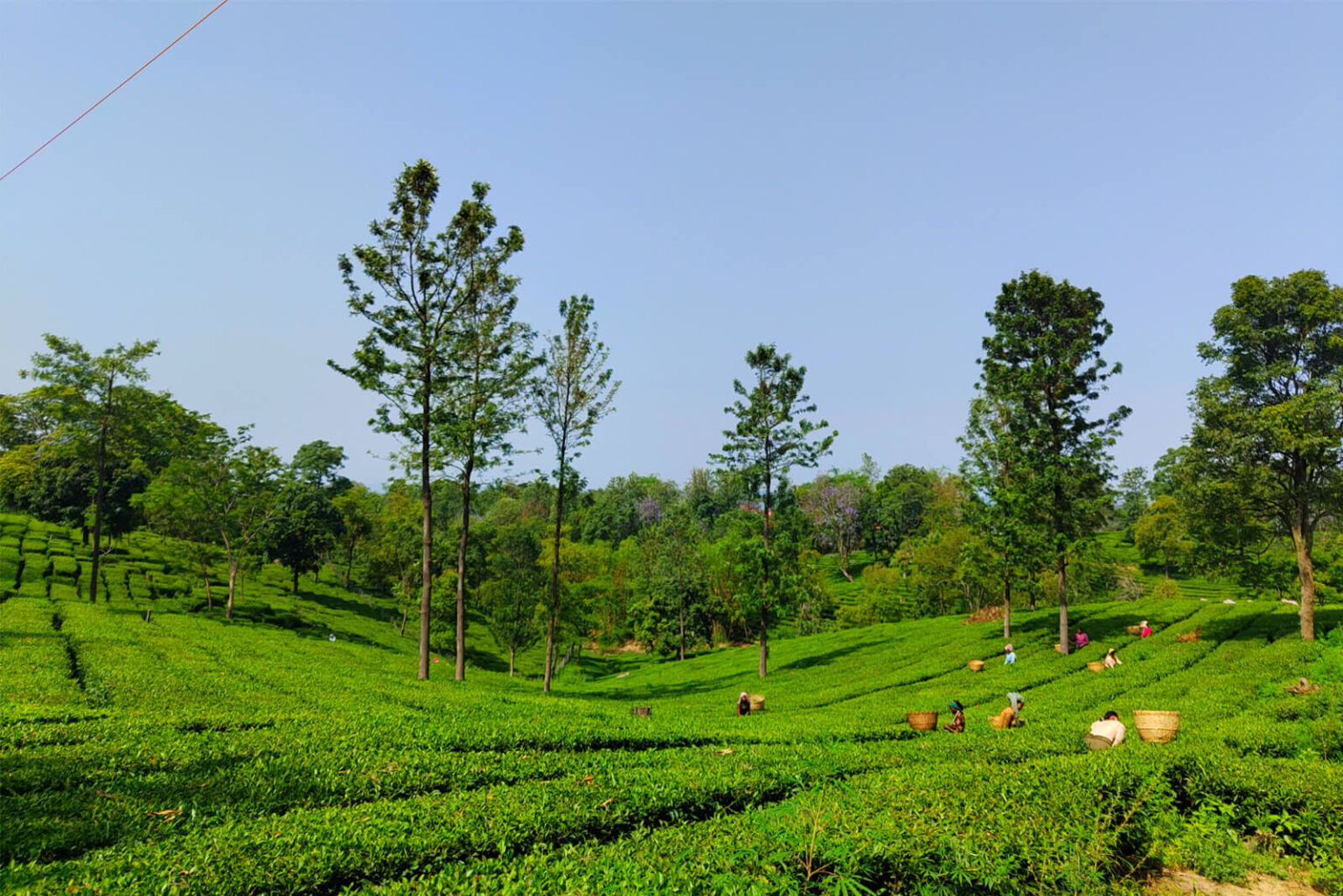10 Must Visit Places to Visit in Palampur - Himalayan Adrenaline