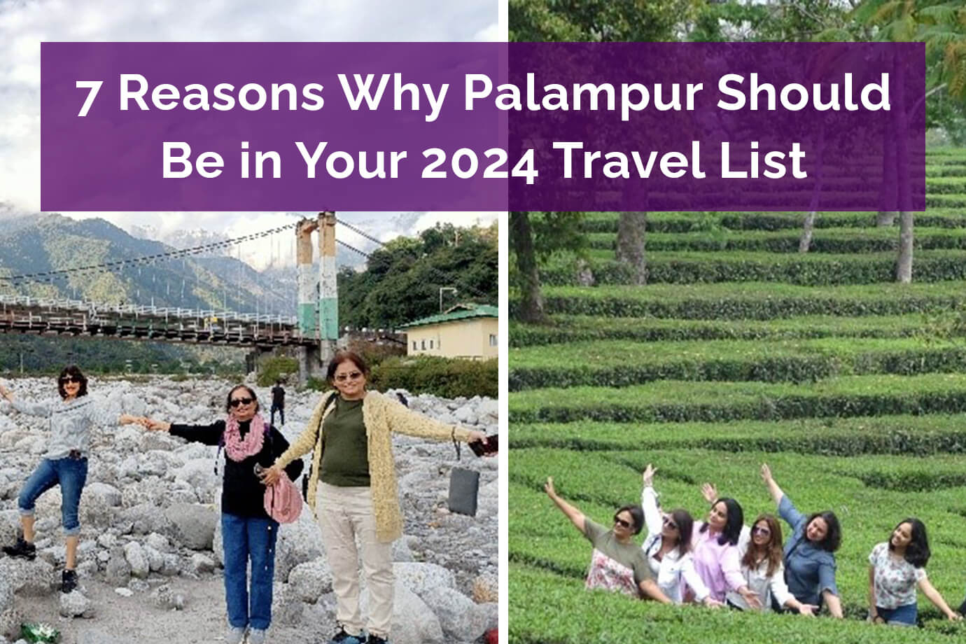 7 Reasons Why Palampur Should Be in Your 2024 Travel List