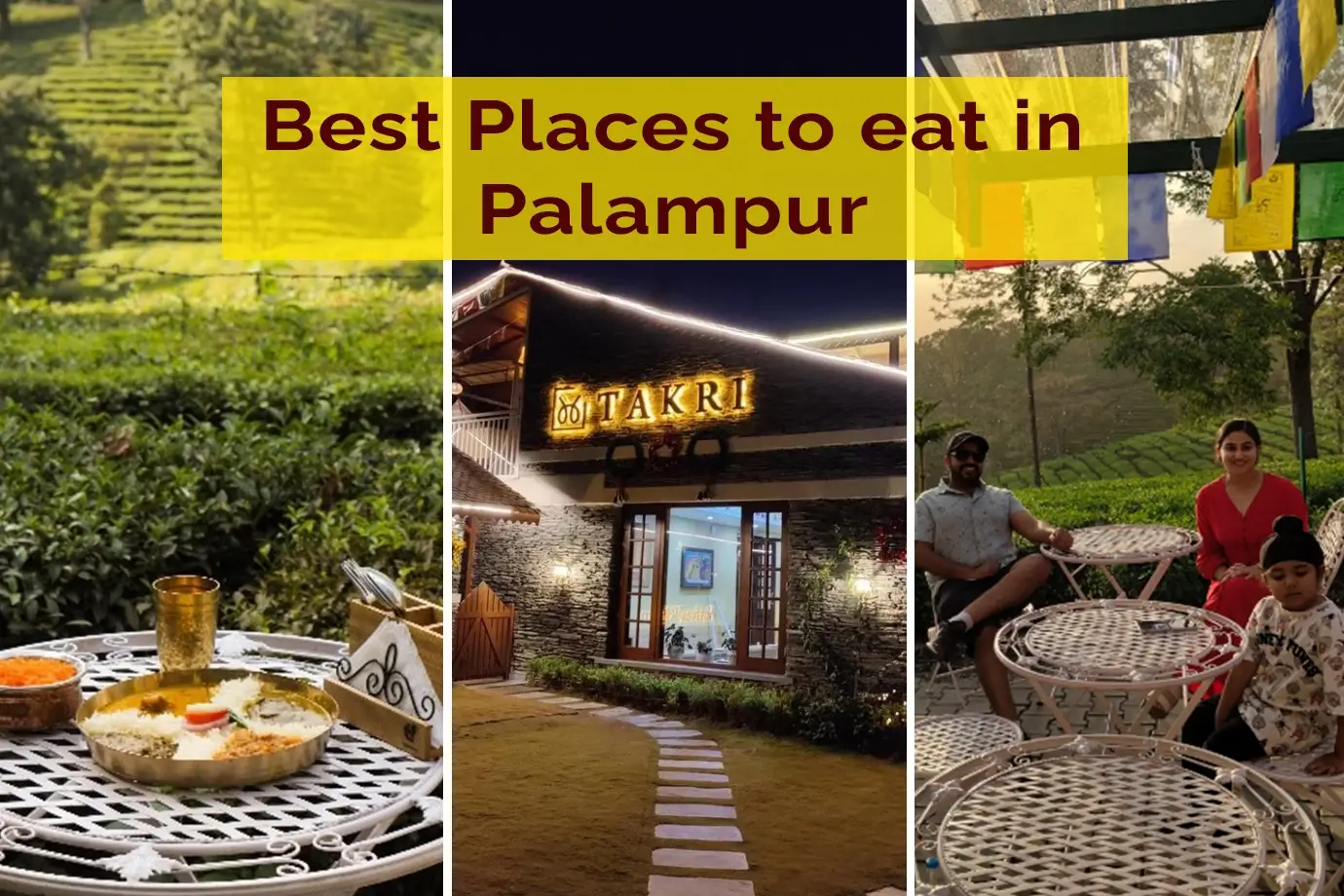 Best Places to Eat in Palampur - Himalayan Adrenaline